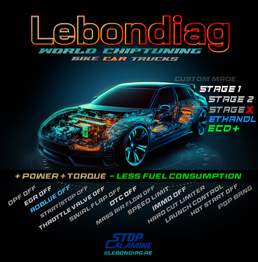 LEBONDIAG WORLD CHIPTUNING FRANCE FILES SERVICES – Lebondiag